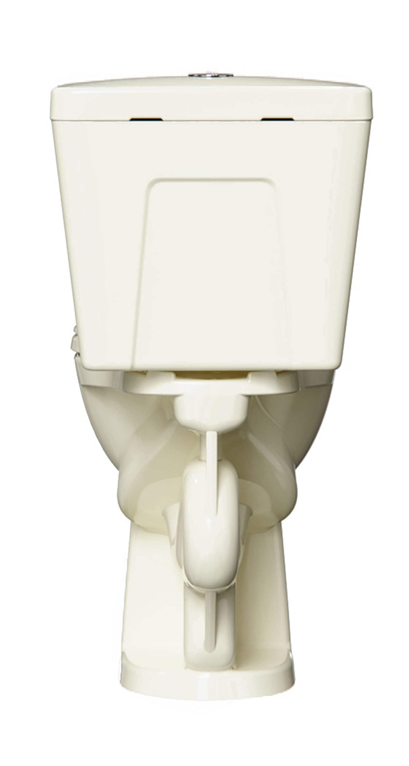 Project Source Pro-Flush Oyster Dual Flush Elongated Chair height 2 ...
