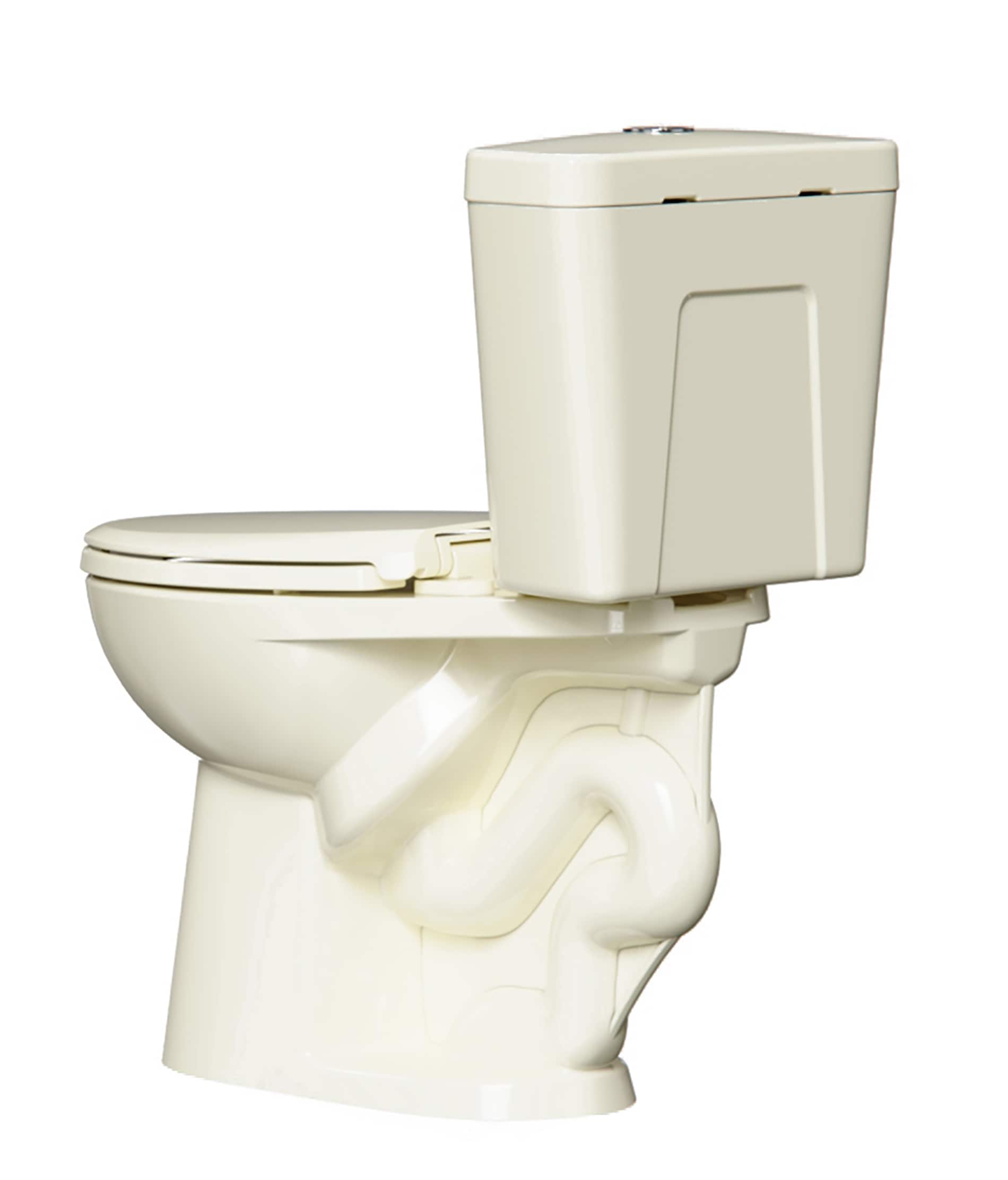 Project Source Pro-Flush Oyster Dual Flush Elongated Chair height 2 ...