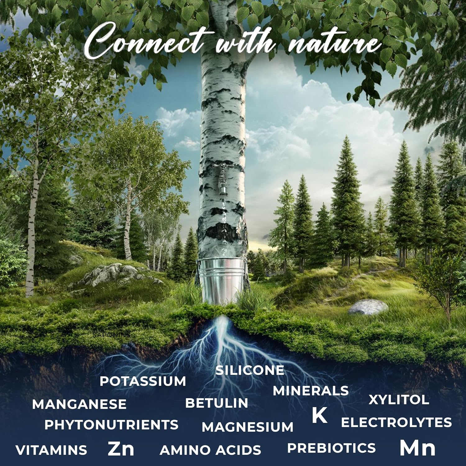 Nordic Tree Water 100% USDA Organic Birch Tree Sap – Electrolytes ...