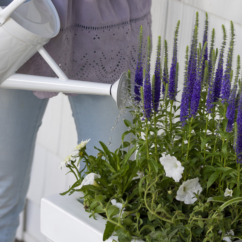 Step 2 Atherton Self-Watering Planter Box, White - MartDiscover.com