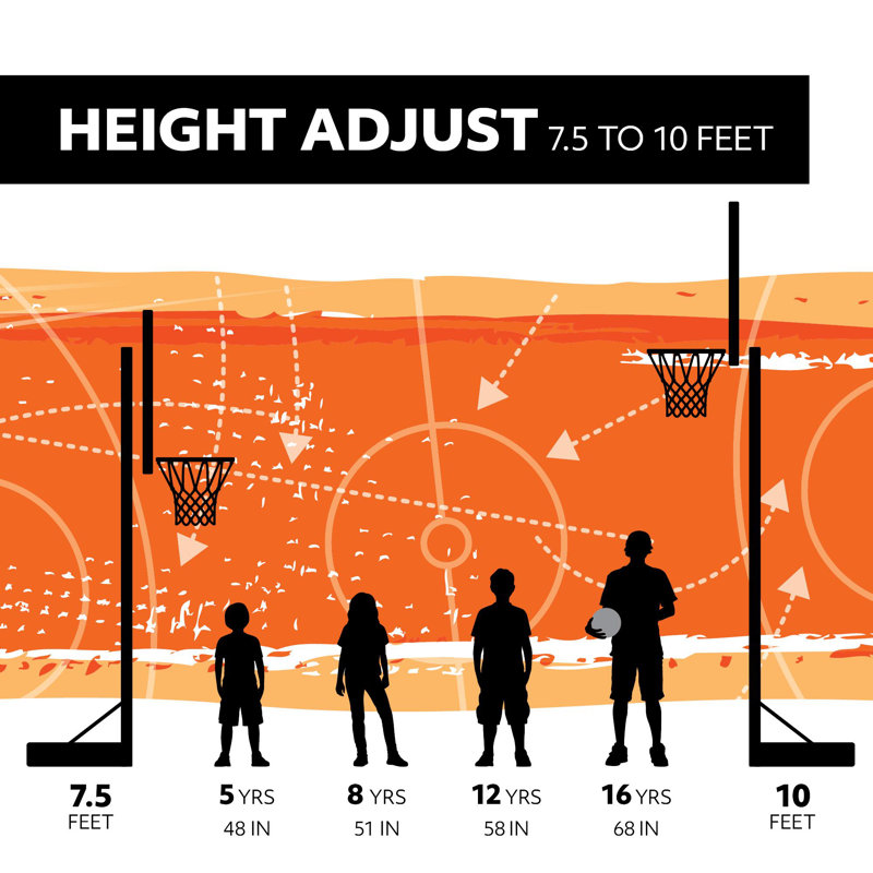 Lifetime Height Adjustable Portable Basketball Hoop (44" Impact ...