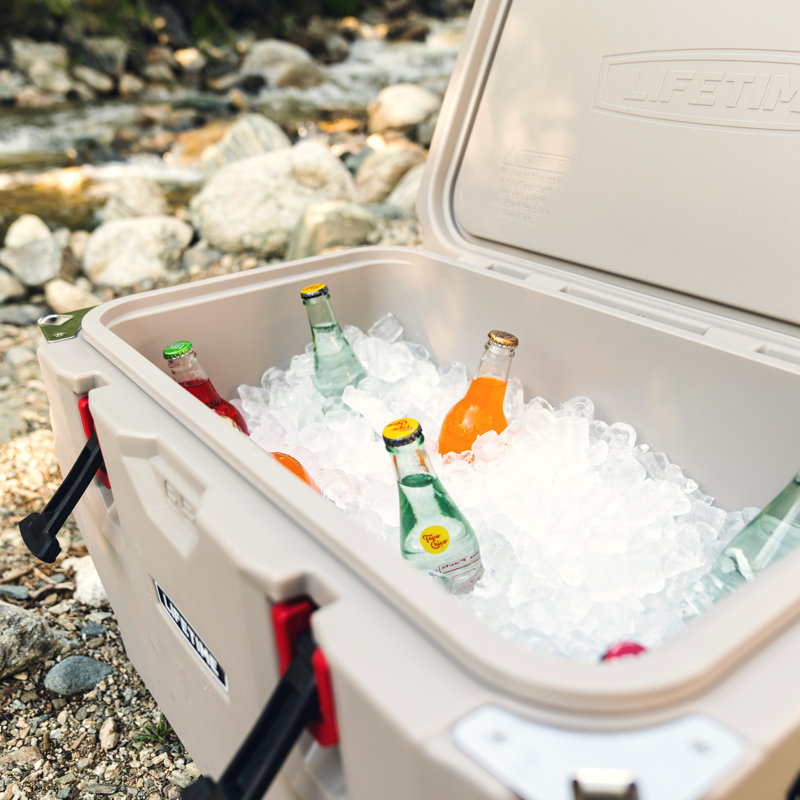 Lifetime 65 Quarts Ice Chest - MartDiscover.com