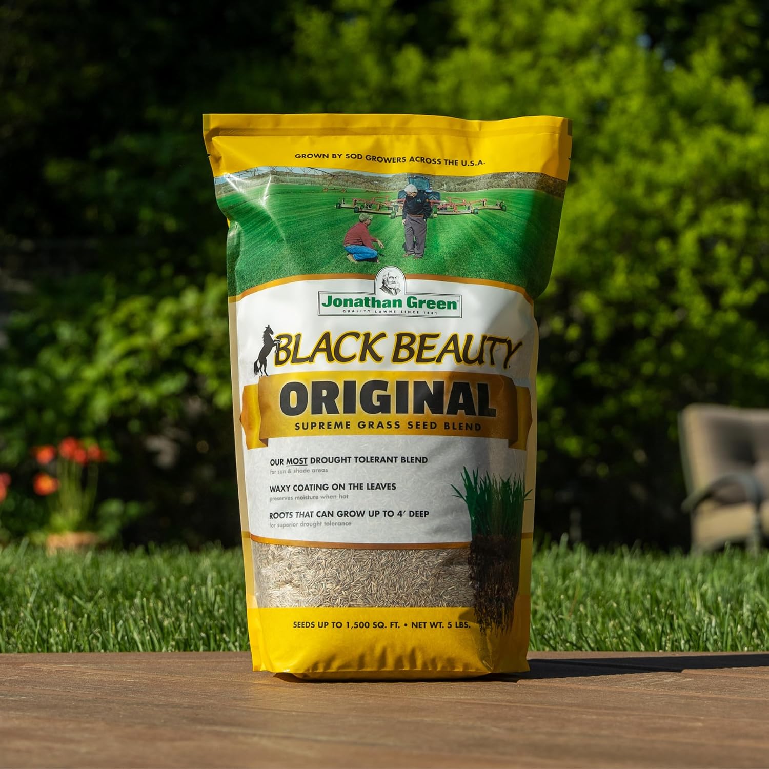 Jonathan Green (10316) Black Beauty Original Grass Seed Blend - Cool ...