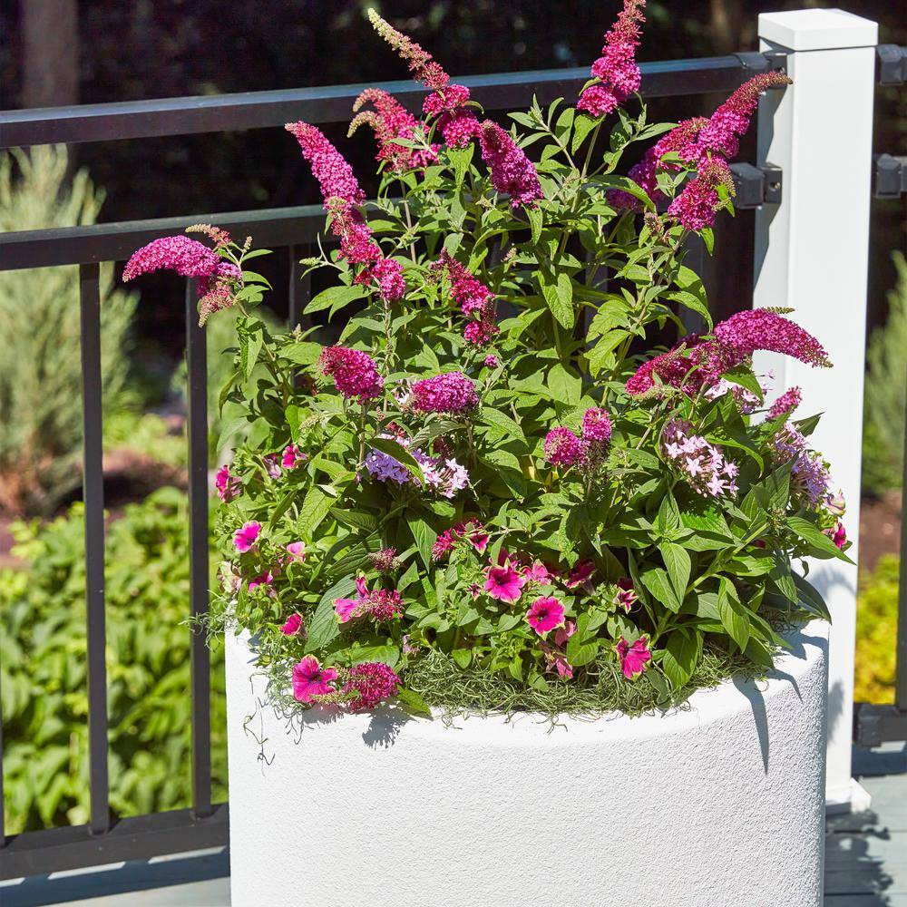 PolyStone Planters Baja Round 23 in. x 19 in. White Composite Planter ...