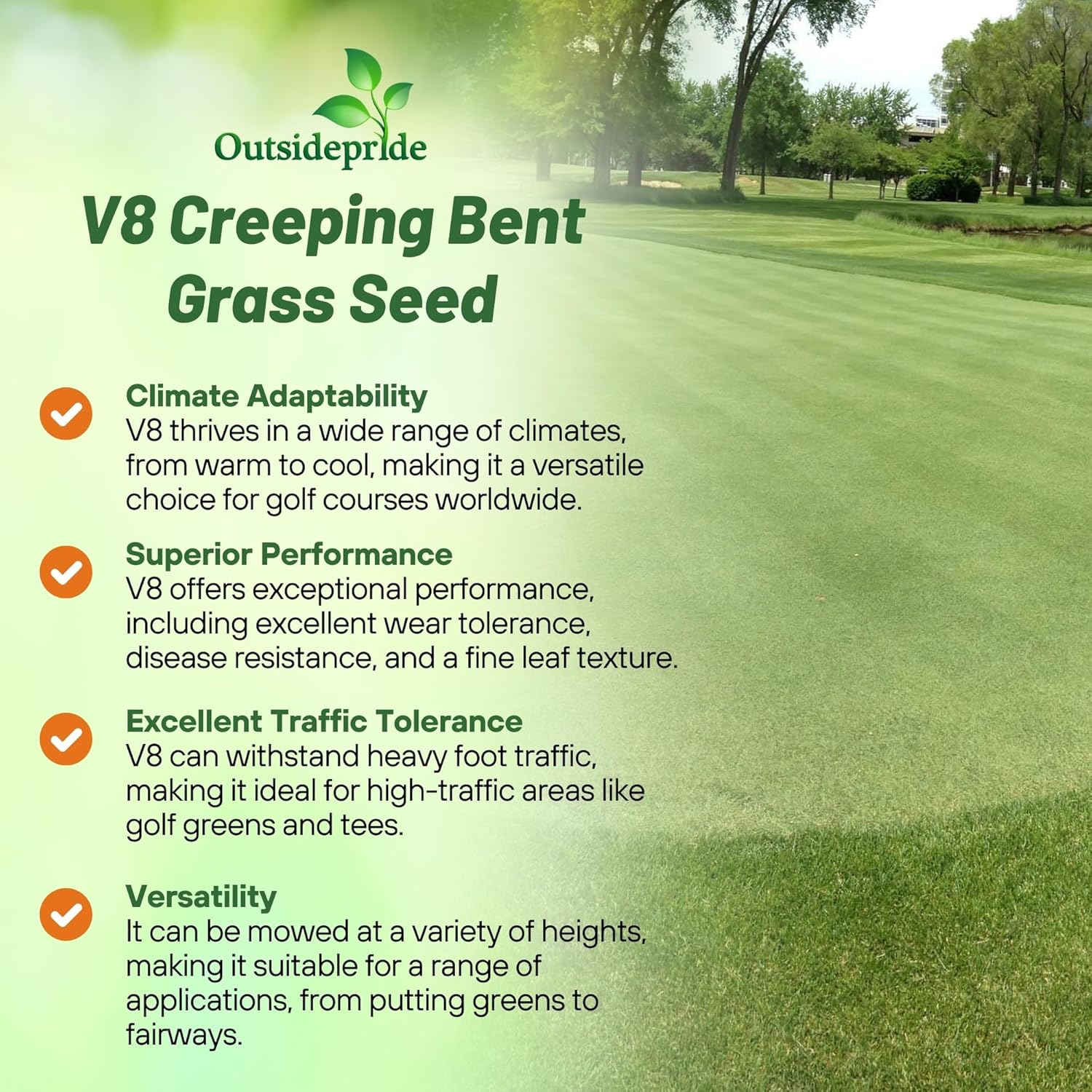 Outsidepride V8 Creeping Bentgrass Seed - 25 lbs. Fine-Bladed, Premium ...