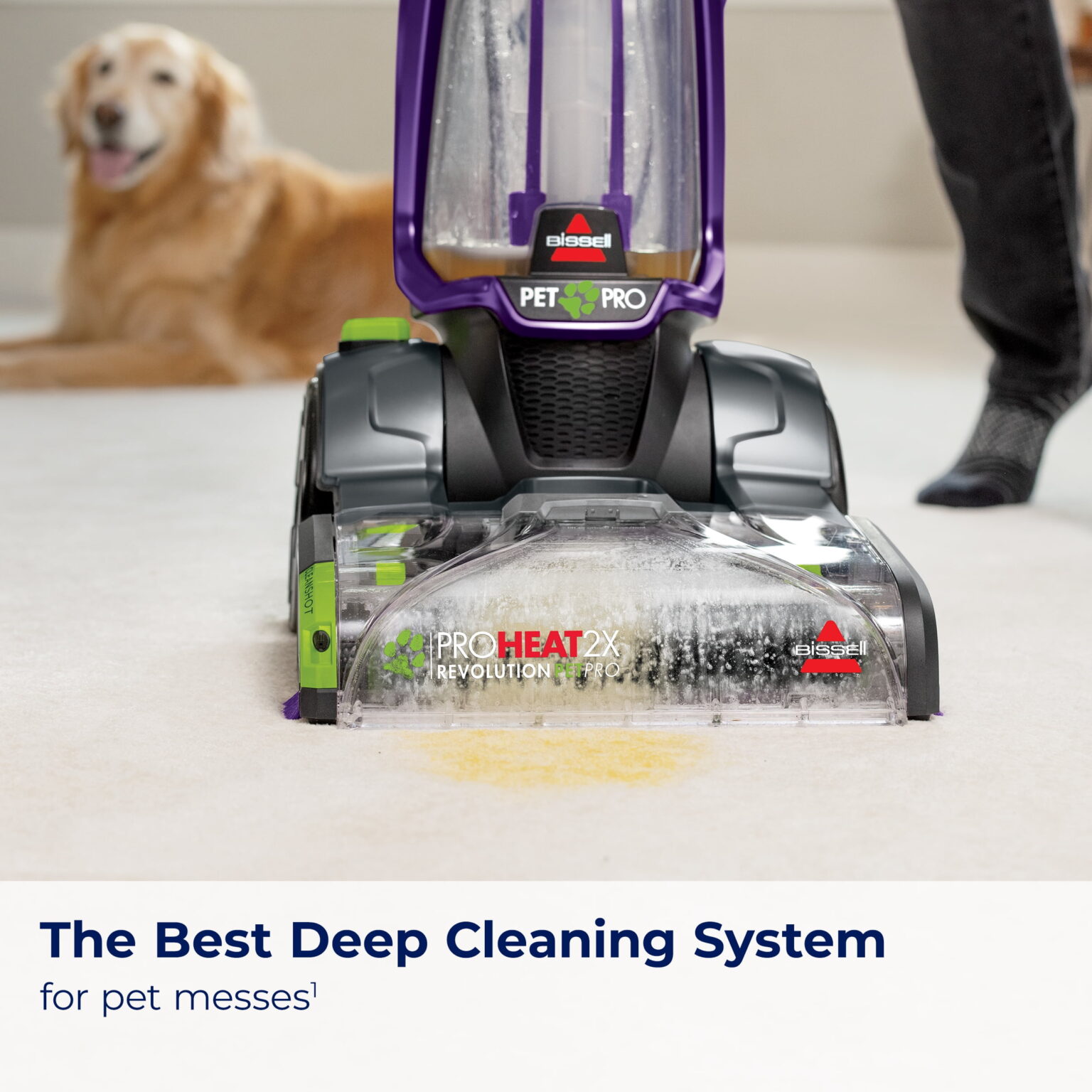 BISSELL ProHeat 2X Revolution Pet Pro Upright Deep Cleaner, for Carpets ...
