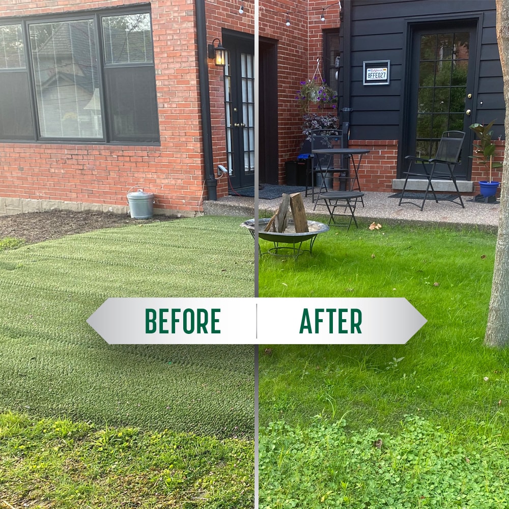 DURAGRASS Artificial grass Hybrid Turf Patch 25-ft x 3-ft Artificial ...